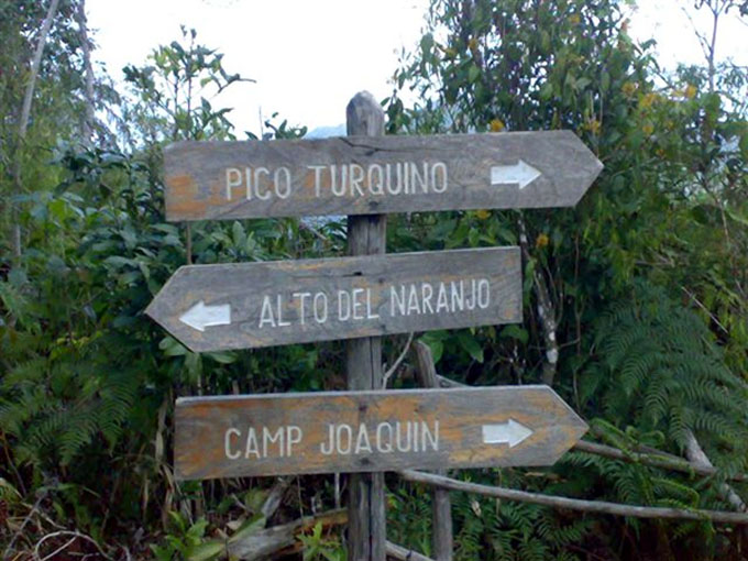 PICO-TURQUINO-SIGN-2 - La Demajagua